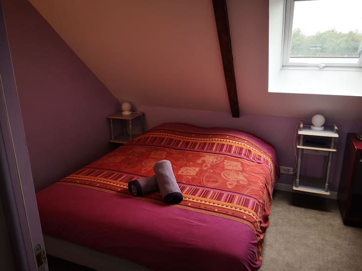 Chambre Miss Bianca - Omaha Beach