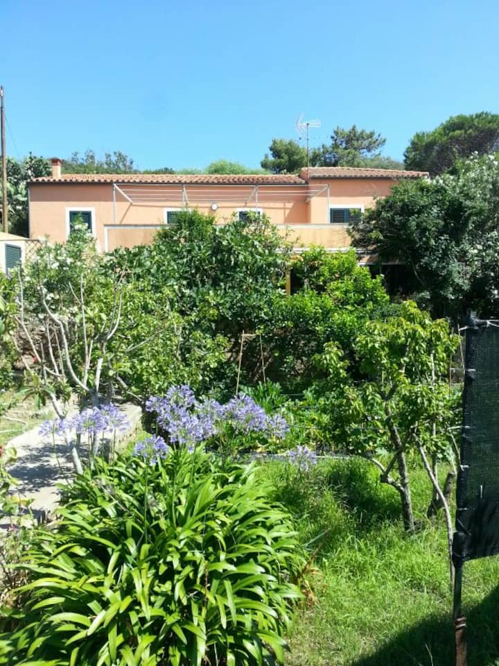 Monolocale Centrale Con Giardino - La Maddalena
