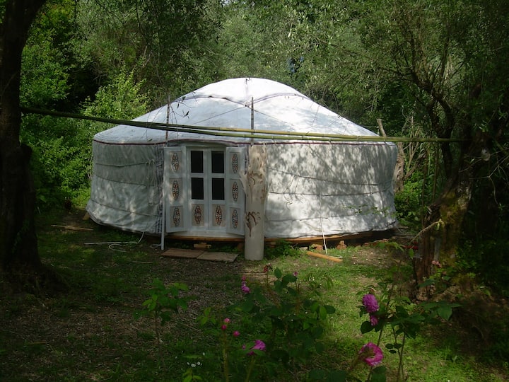 Yurta Di 7m Di Diametro - Camaiore