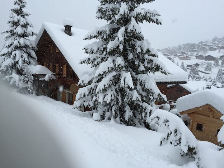 Chalet Cosy De Standing - Saint-Jean-de-Sixt