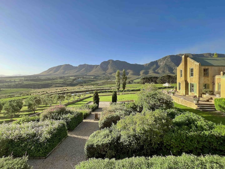 Moya's Vineyard - Hermanus