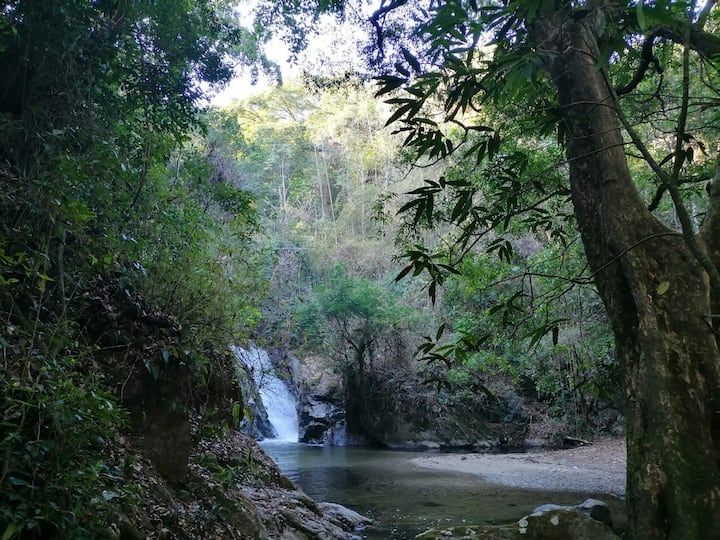 Camping Amazilia - Minca