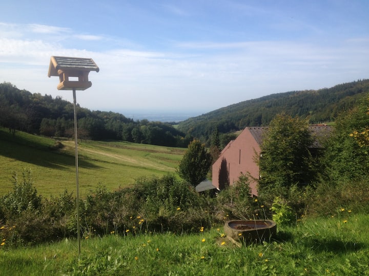 Urlaub Mitten In Der Natur Mit Blick Ins Rheintal - Forêt-Noire