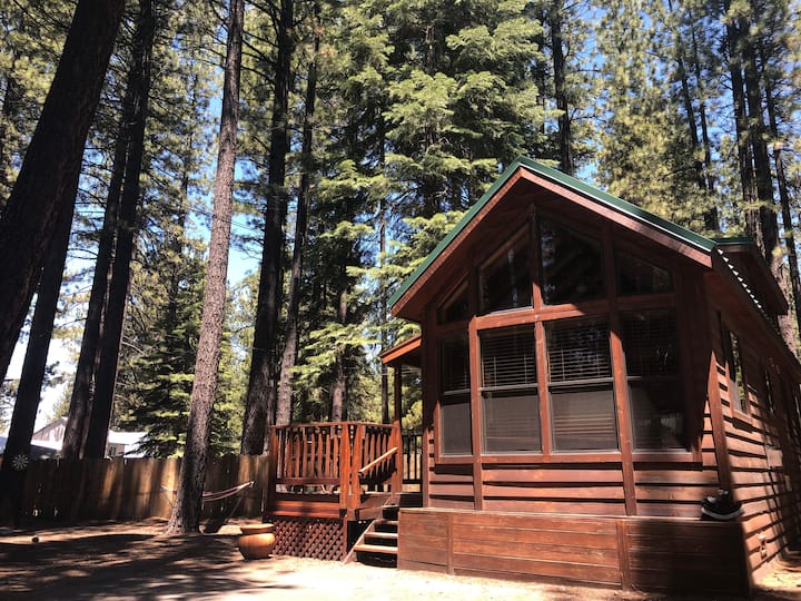 The Bear Den- (Pets Welcome!!) So. Lake Cabin - Vikingsholm