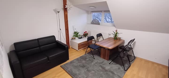 Ruhiges Apartment Mit Carport-stellplatz - Erfurt
