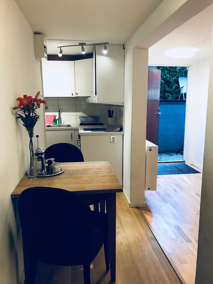 Central 2 Room Apartment Close To Everything! - Uppsala