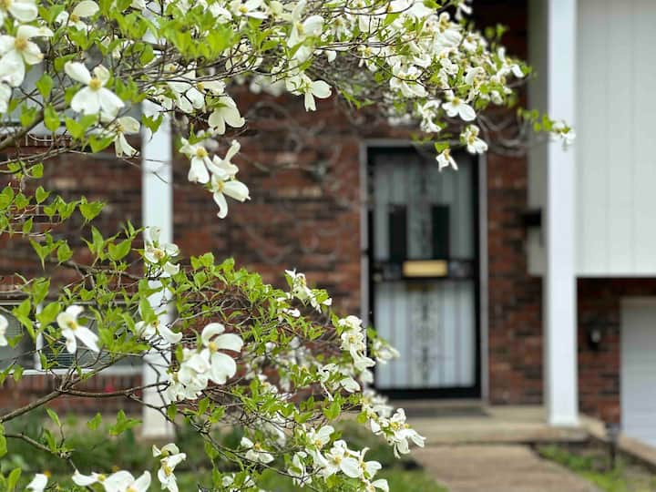 Charlie West House — Great Location! By Camc & Uc - Charleston, WV