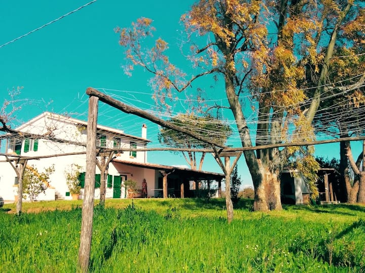 Mediterranean Relax Nearby The Sea - Montalto di Castro