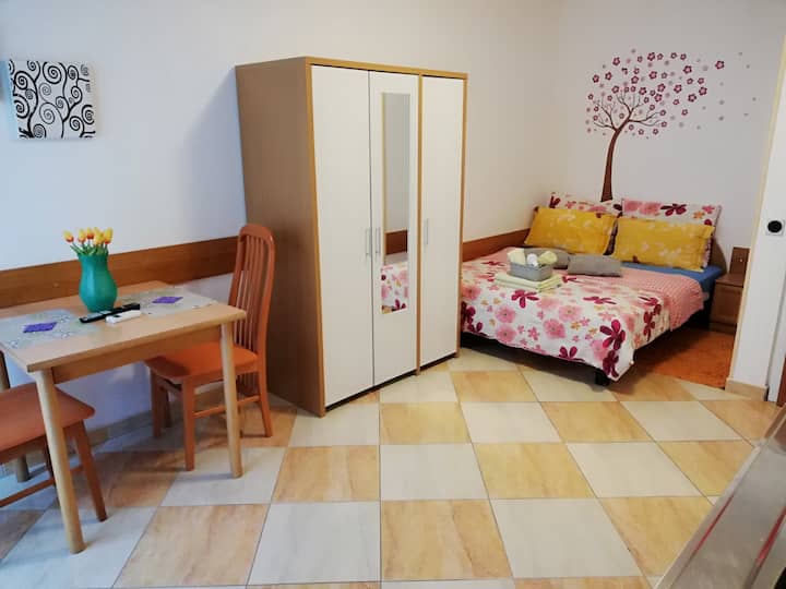Charming Studio Apartment In Old Villa - Opatija