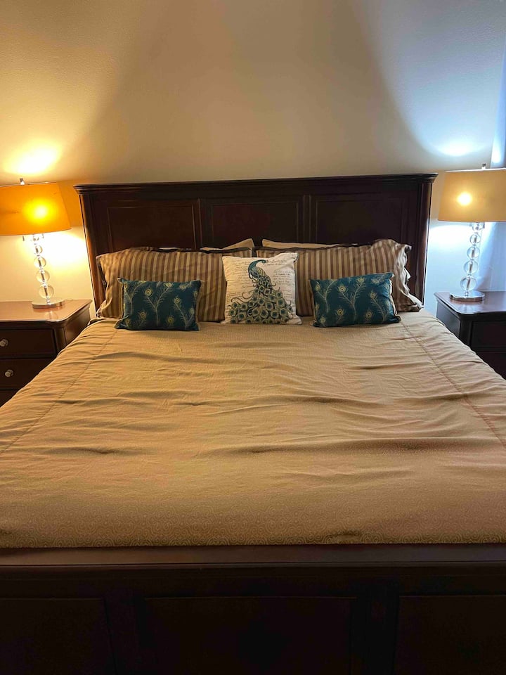 Tampa Bay Cozy Home - Hudson, FL