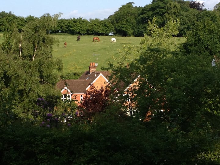 Whole House In Stunning Peaslake, Surrey Hills - Dorking
