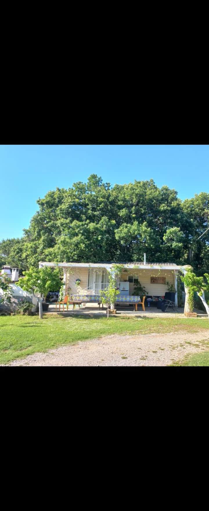 Bellissima Casa Mobile Nel Verde - Rosignano Marittimo
