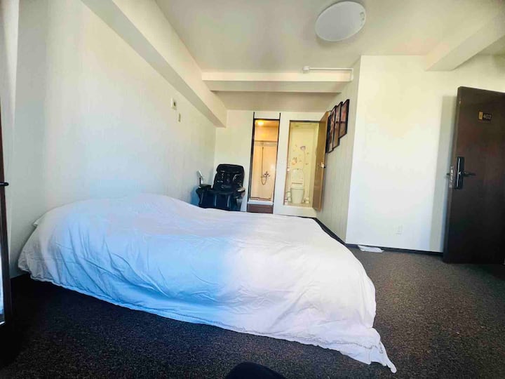 东京大学，4.2上野公园，アメ横，秋葉原电器城，京城上野直达成田机场 - Ginza