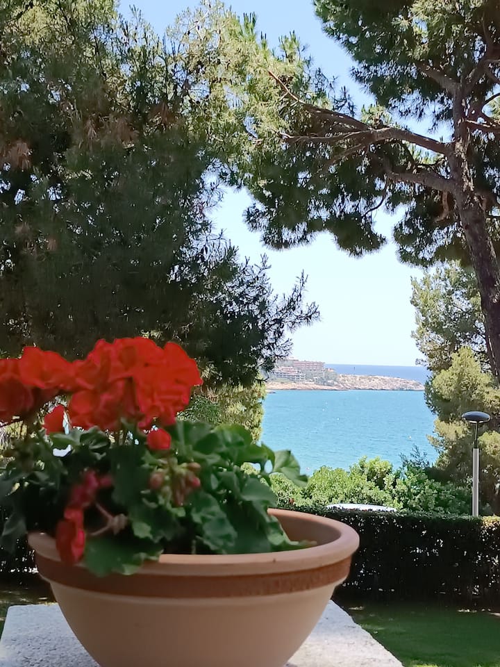 Beach_&_flowers Free_parking - Salou