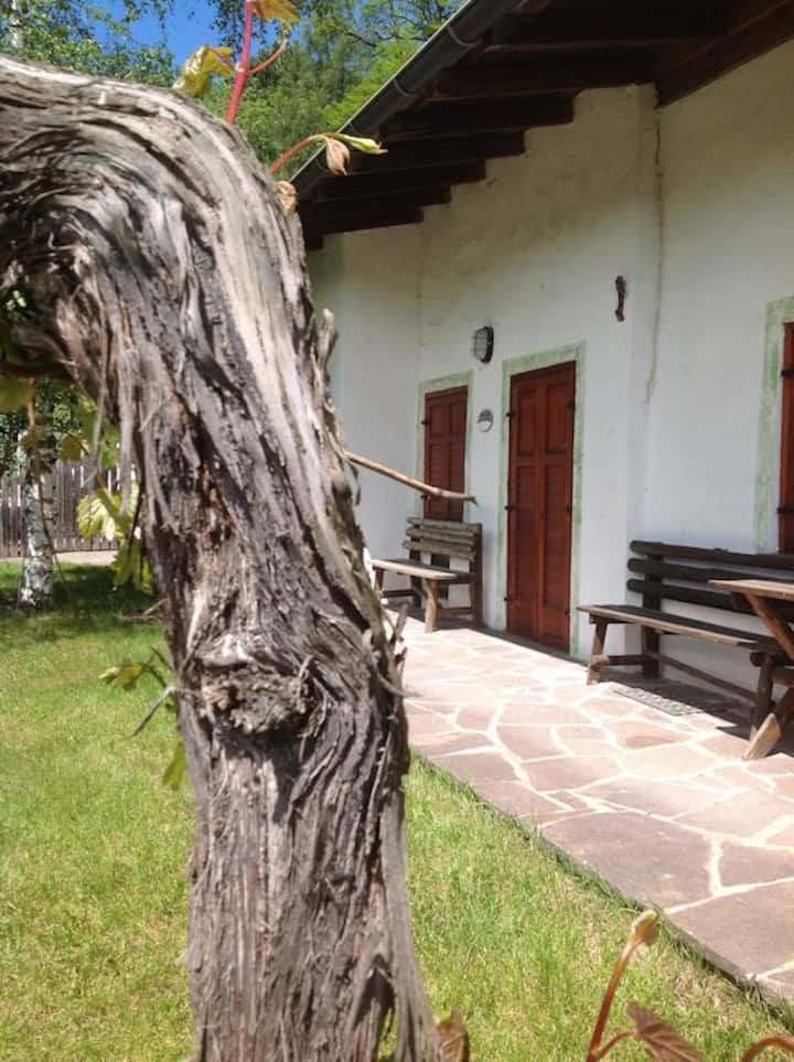 Baita  Mountain Relax Cavalese - Tesero