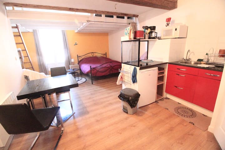 Studio Lamalou Les Bains Avec Parking Et Jardin - Lamalou-les-Bains