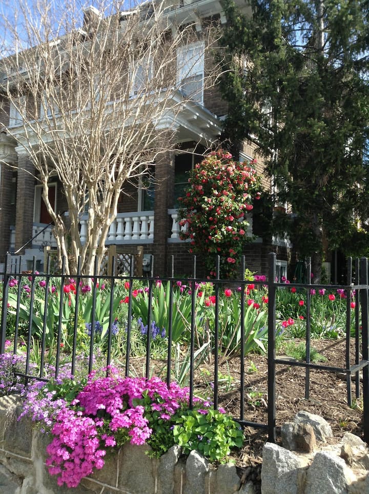 Efficiency Suite In Capitol Hill - Washington, DC