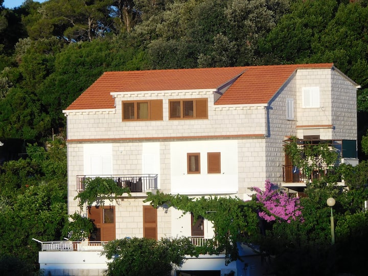 Apartment With Terrace And Sea View - Korčula