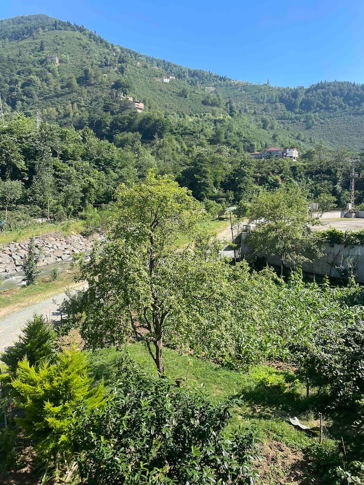 Yeşil Ve Huzur Dolu Bir Daire - Ordu
