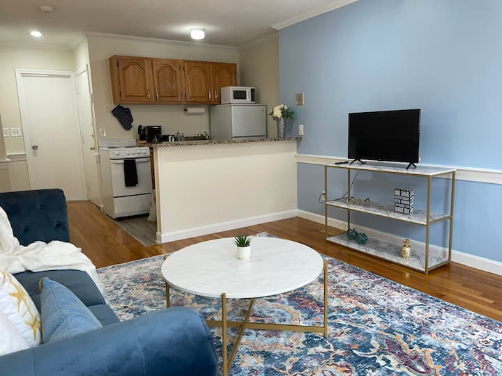 Chic 1 Bedroom - Longwood/fenway - Boston, MA