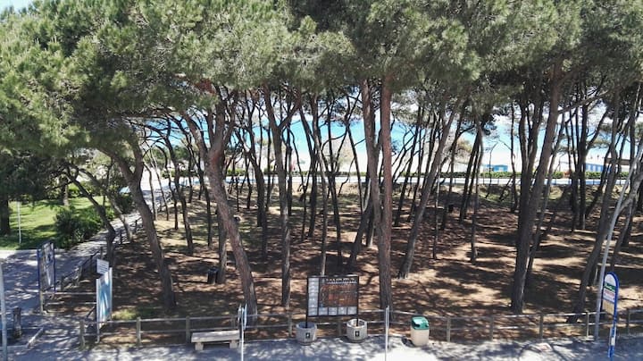 Casa Franco - Alba Adriatica