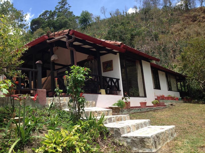 Tranquil Eco-finca| El Mirador - San Francisco