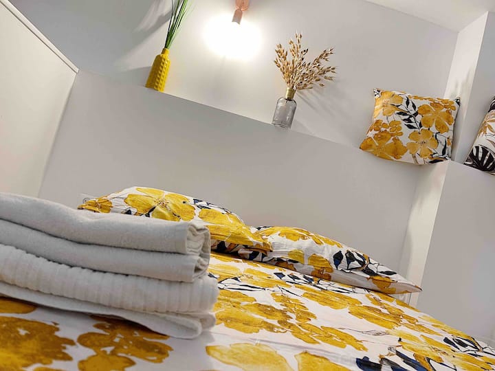 ~Big Apartment In The City Center - Katowice