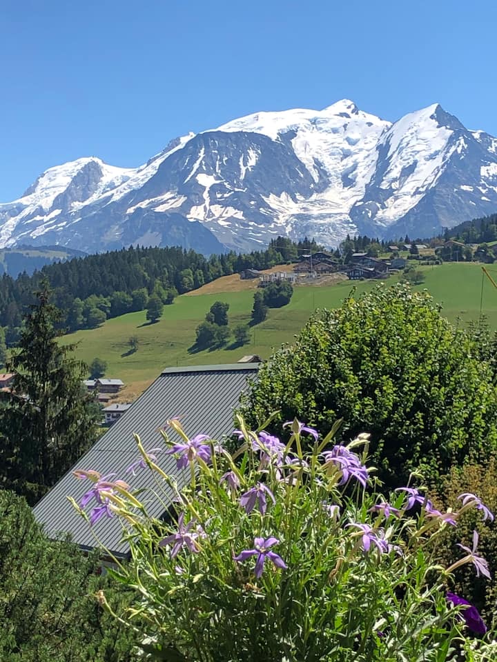 Duplex Contemporain Grand Confort à Combloux - Combloux