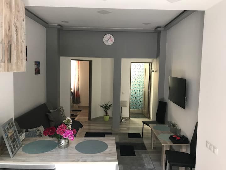 Andres Central Apartment - Târgu Mureș
