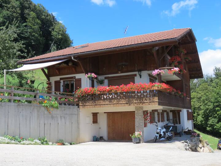 Appartement Face Au Mont-blanc (Meublé Tourisme) - Sallanches