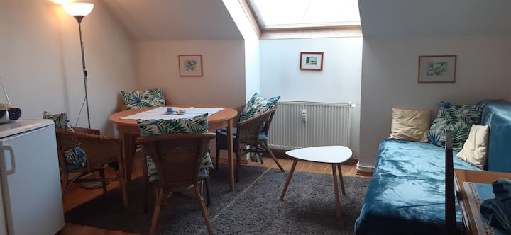 Gemütliches Bib'n'tom Dachgeschoss Appartement - Graz