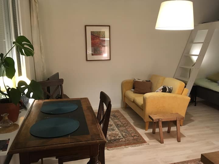 Biedju  Studio Near Train Station - 羅瓦涅米