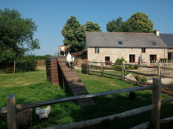 Gîte Ty Chim Bihan - Pluvigner