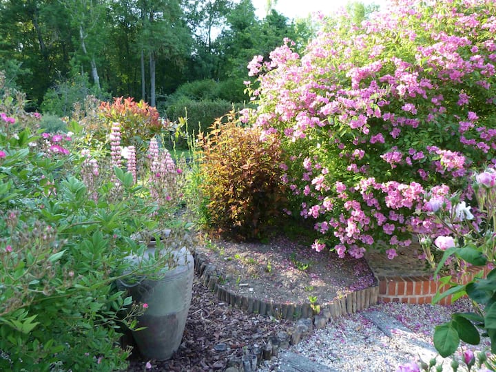 Ch Privée(s )Au Bord De La Rivière Petit Dej Offer - Meung-sur-Loire