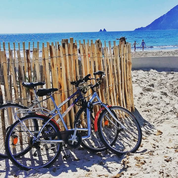Un Petit Paradis à Côté De La Plage ! - La Seyne-sur-Mer