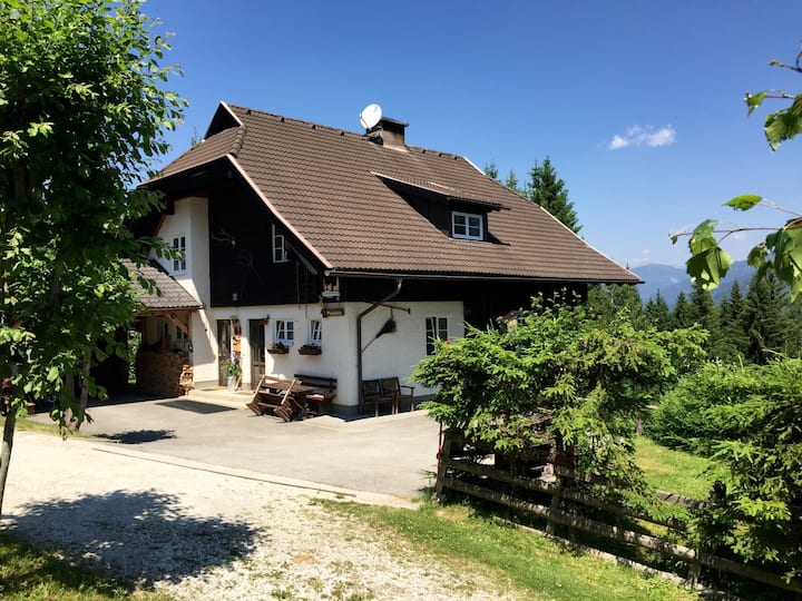 Doppelhaushälfte Almhaus Verditz - Feld am See