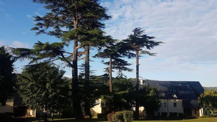 Beautiful Apartment On The Golf - Houlgate