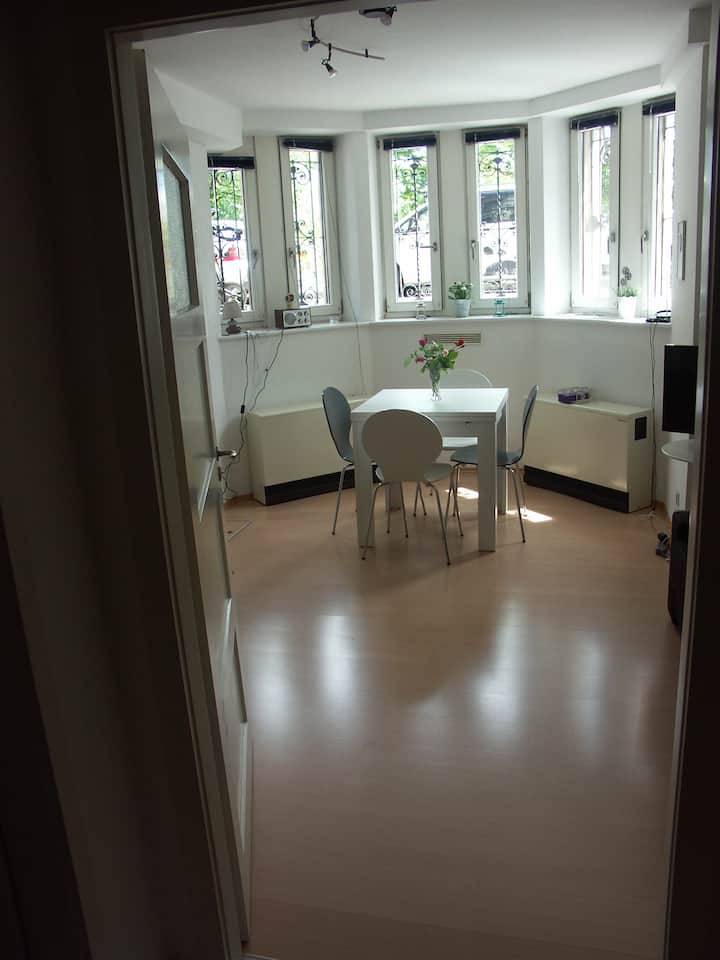 2-zimmer-app. Souterrain Gründerzeitvilla/zentral - Tübingen