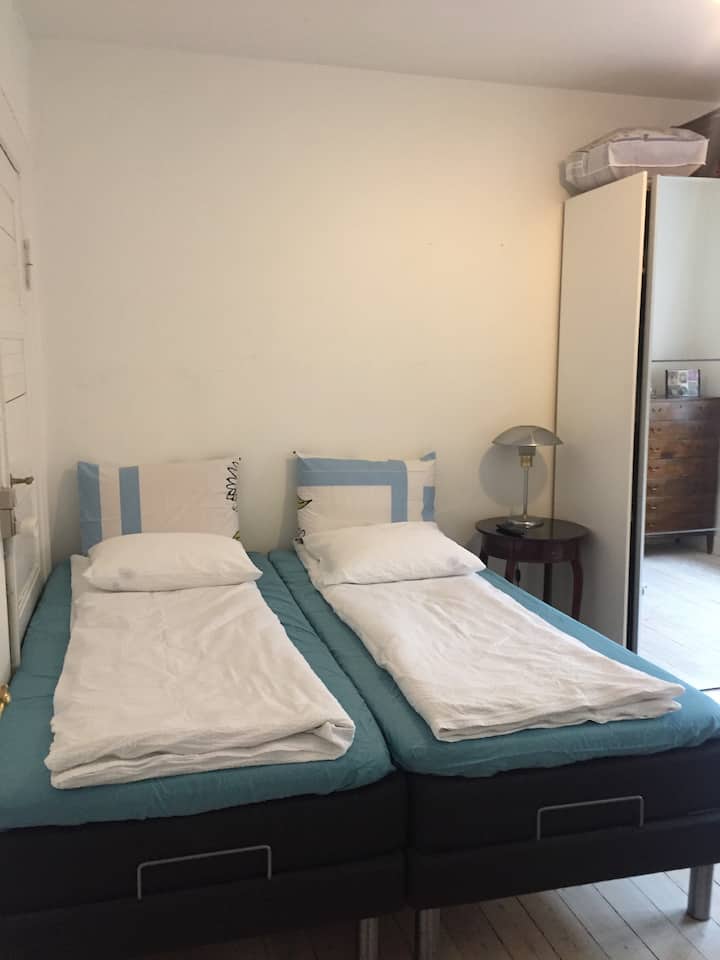 Very Cosy Apartment/ Copenhagen/ Central - Copenhaguen