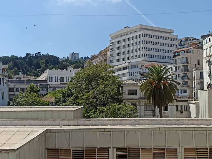 Appartement Cosy Au Centre D'alger - Alger