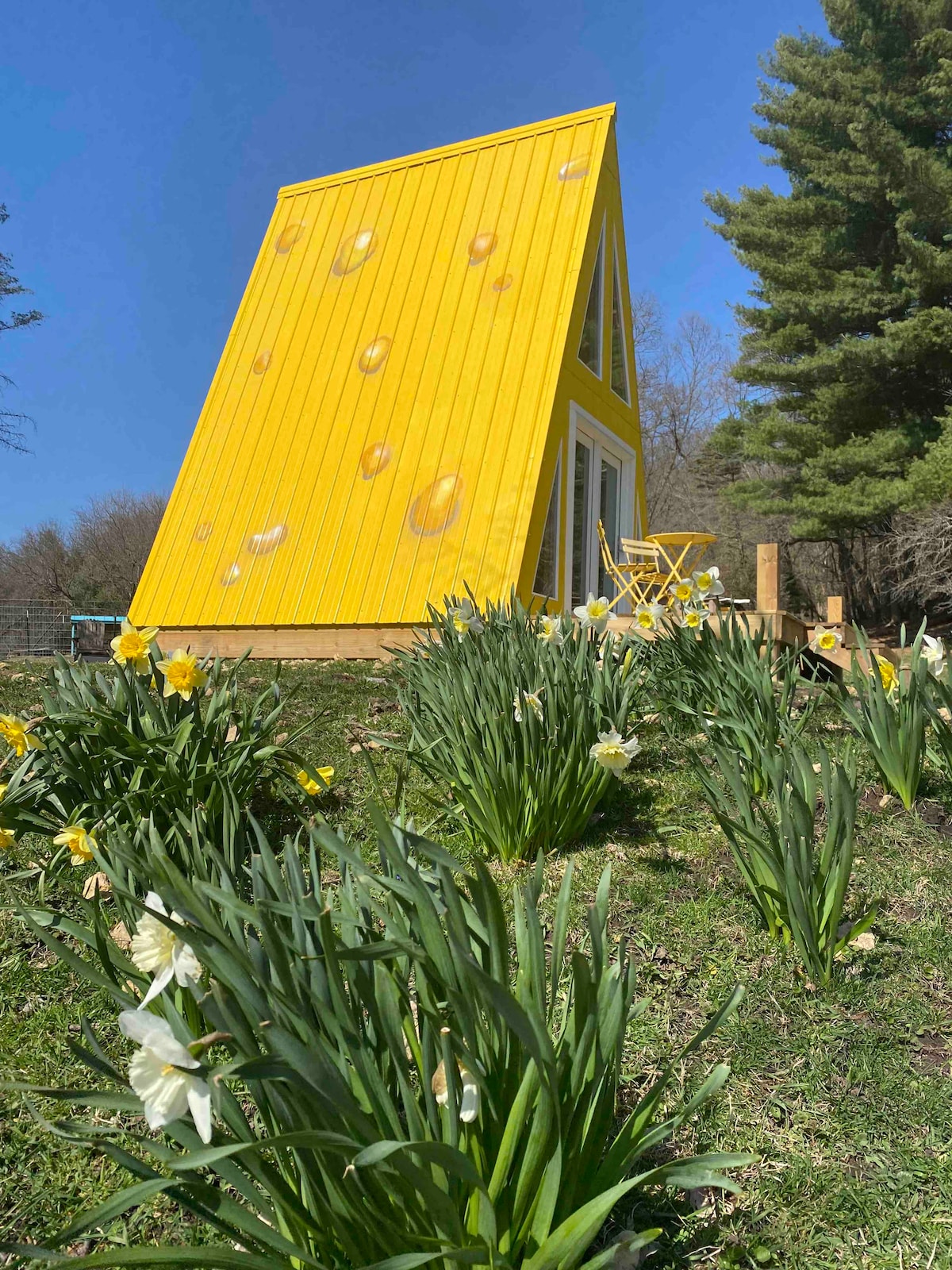 Cheese Wedge Cabin Idyllic Farm - Tiny houses for Rent in Highland ...