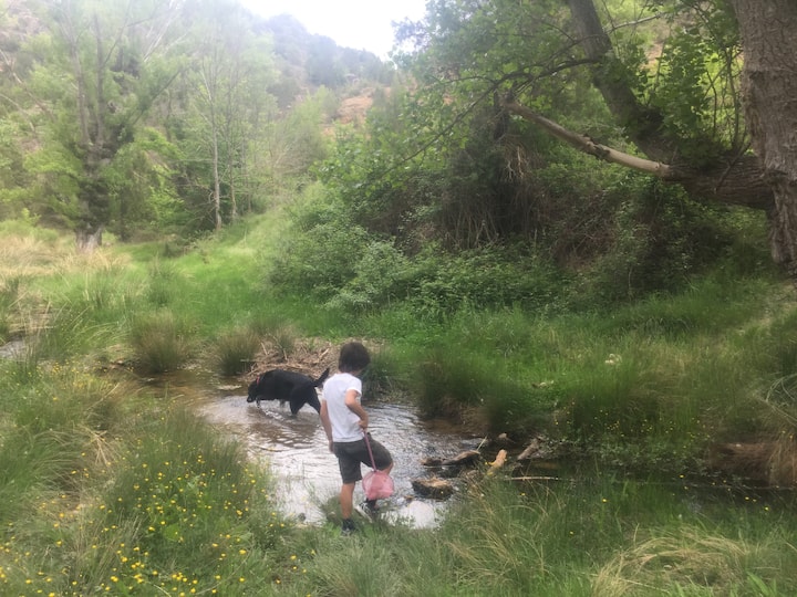 Exclusivo Buscadores Tranquilidad - Manzanera