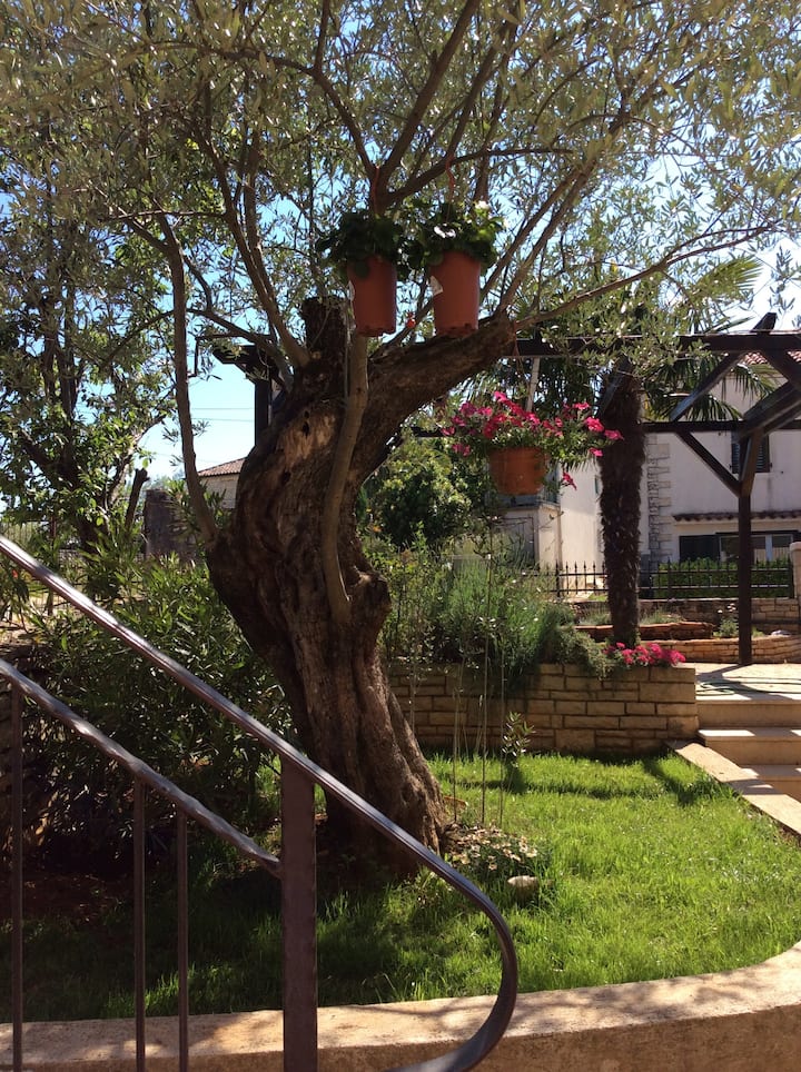 Great Apartment For 4 - Julis Place - Rovinj