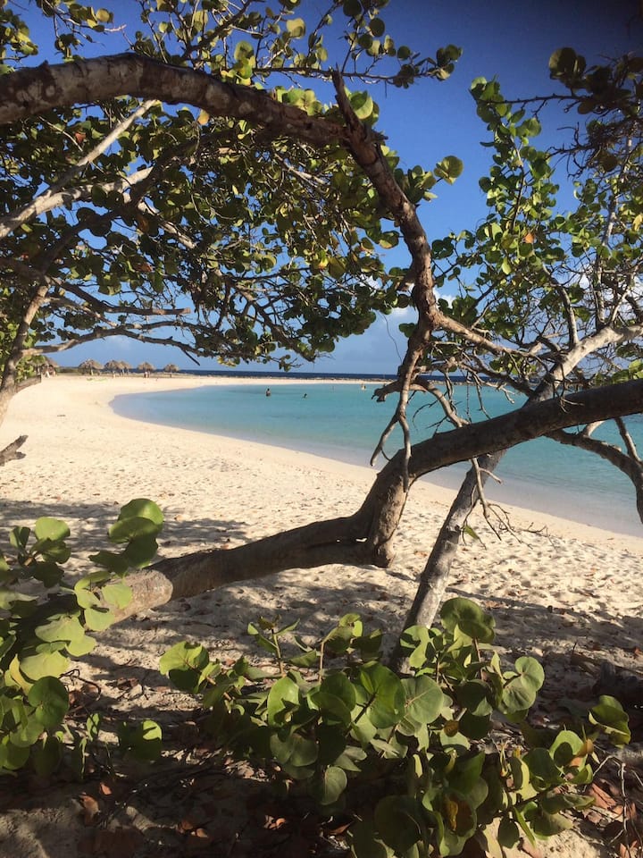 Grapefield Beach Holiday Rentals & Homes - San Nicolas North, San ...