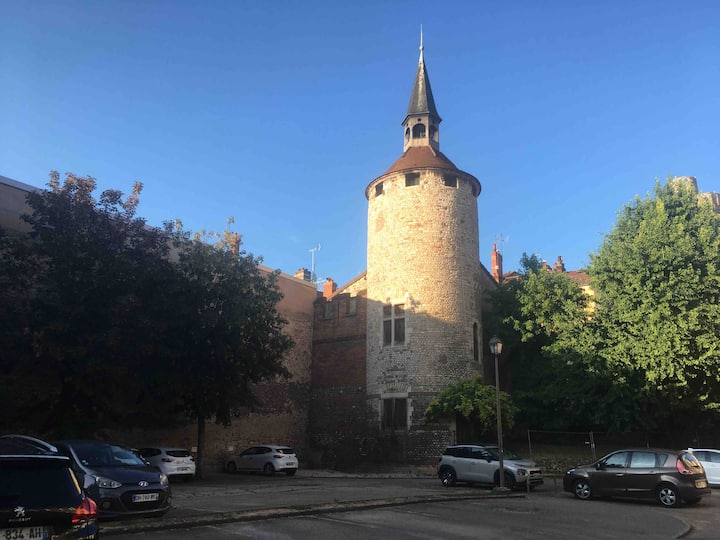 Loft Cosy/lumineux Plein Centre. Super Calme. - Chalon-sur-Saône