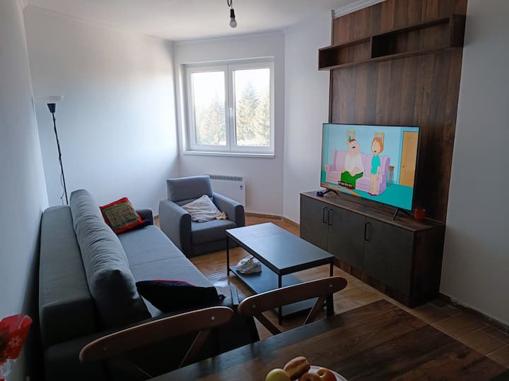Lovely Studio 3 Min Walking Distance From Konaci ! - Kopaonik