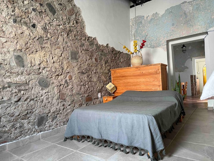 Casona Elena (7) - プエブラ