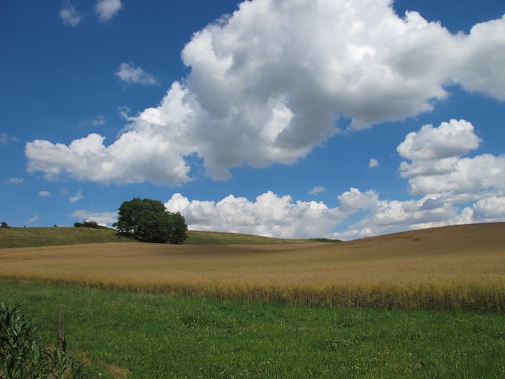 Idyllic Farmhouse At The Sternhagen Gut - Prenzlau