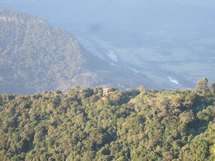 Faça Uma Conexão Com A Natureza! - Nova Petrópolis