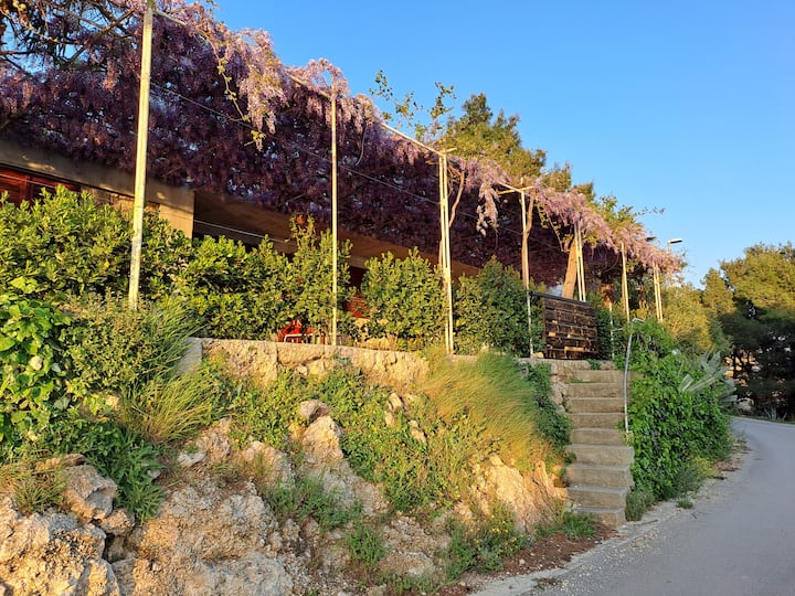 Agava Apartment- A2, Omiš, Stanići, Balića Rat 8 - Omiš